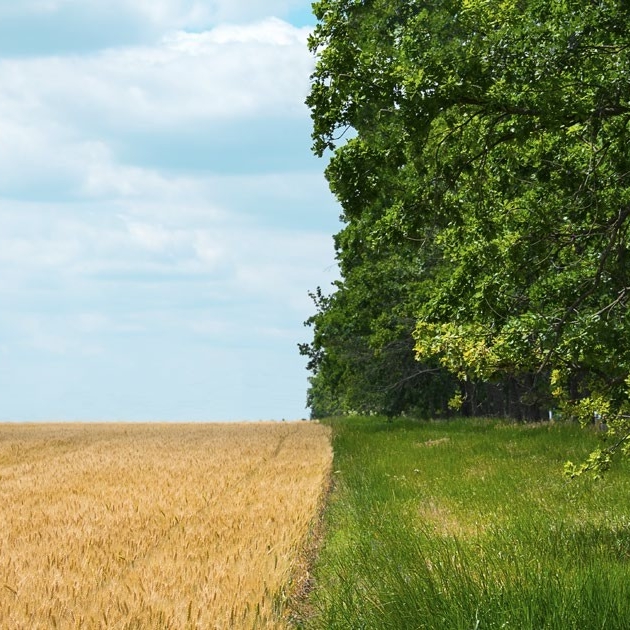 Our Vision – Carbon Farming Partners